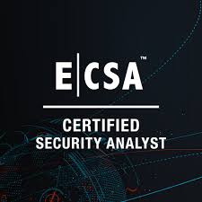 Ecsa Logo